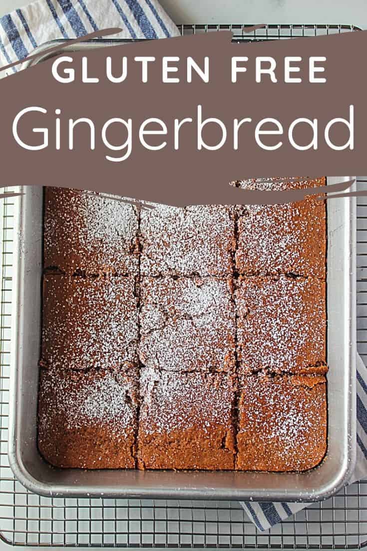 Light and Tender Gluten Free Gingerbread