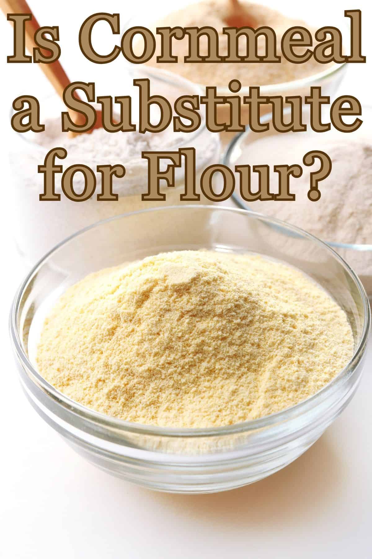 Can You Substitute Cornmeal for Flour? 7 Flour Alternatives